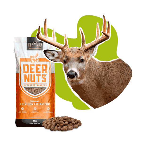 Savory Acorn Deer Attractant | Deer Nuts
